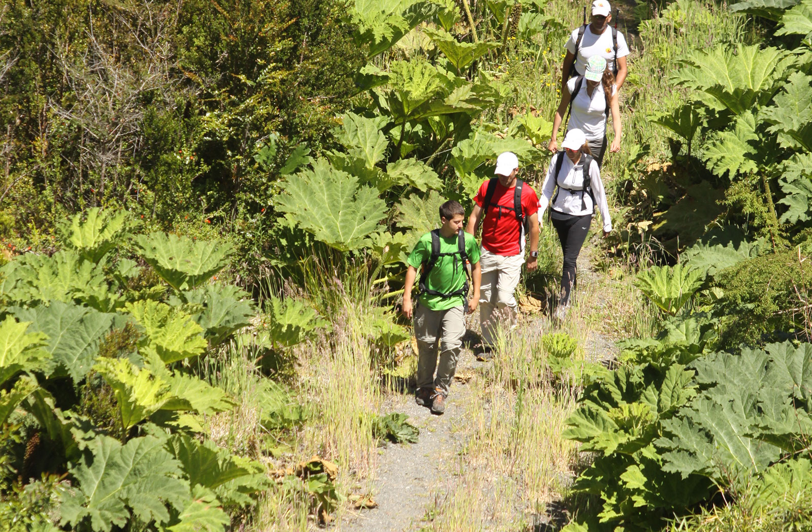 Senderos Largos | Parque Tantauco