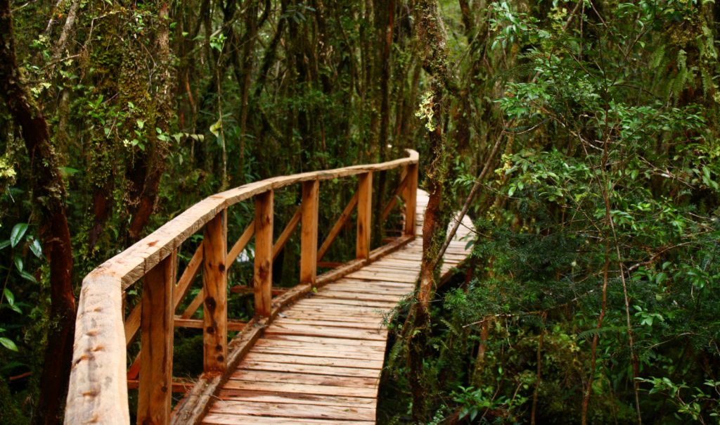 Por el día | Parque Tantauco